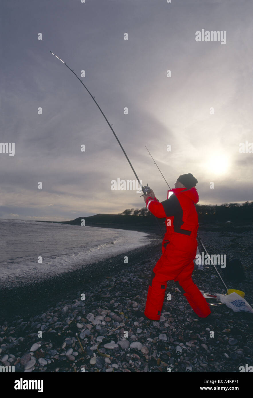 Beach angling for cod hi-res stock photography and images - Alamy