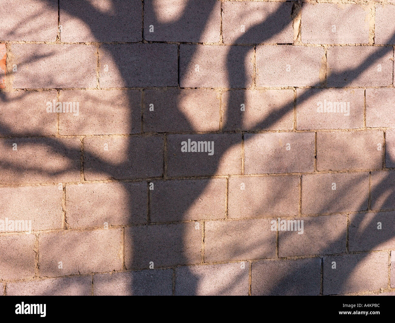 Shade cast by tree hi-res stock photography and images - Alamy
