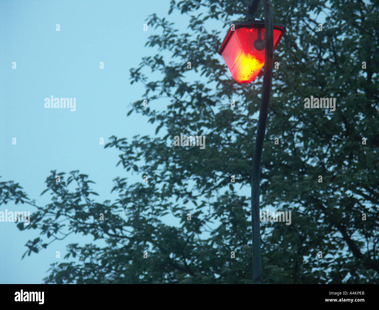 Street light at dusk Stock Photo - Alamy