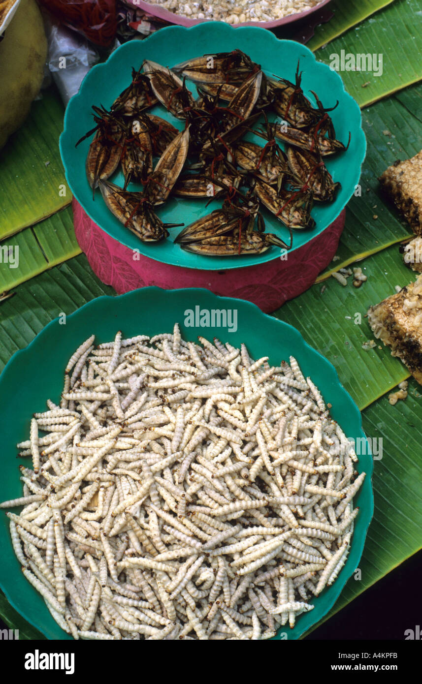 Insects and worms being sold as food in Thailand Stock Photo - Alamy