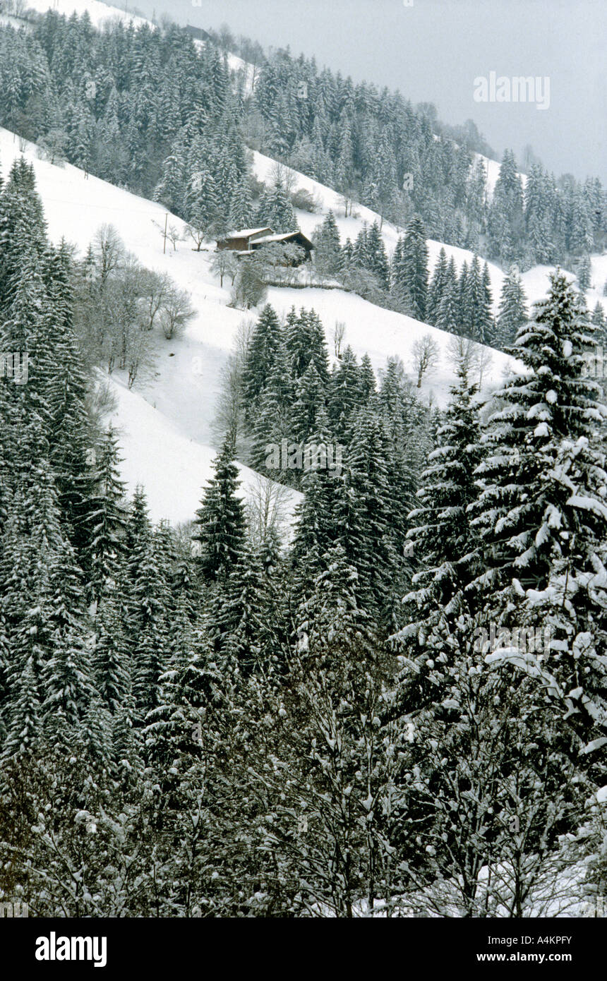 AUSTRIA HEAVY SNOW FALL NEAR SOLL 2007 Stock Photo - Alamy