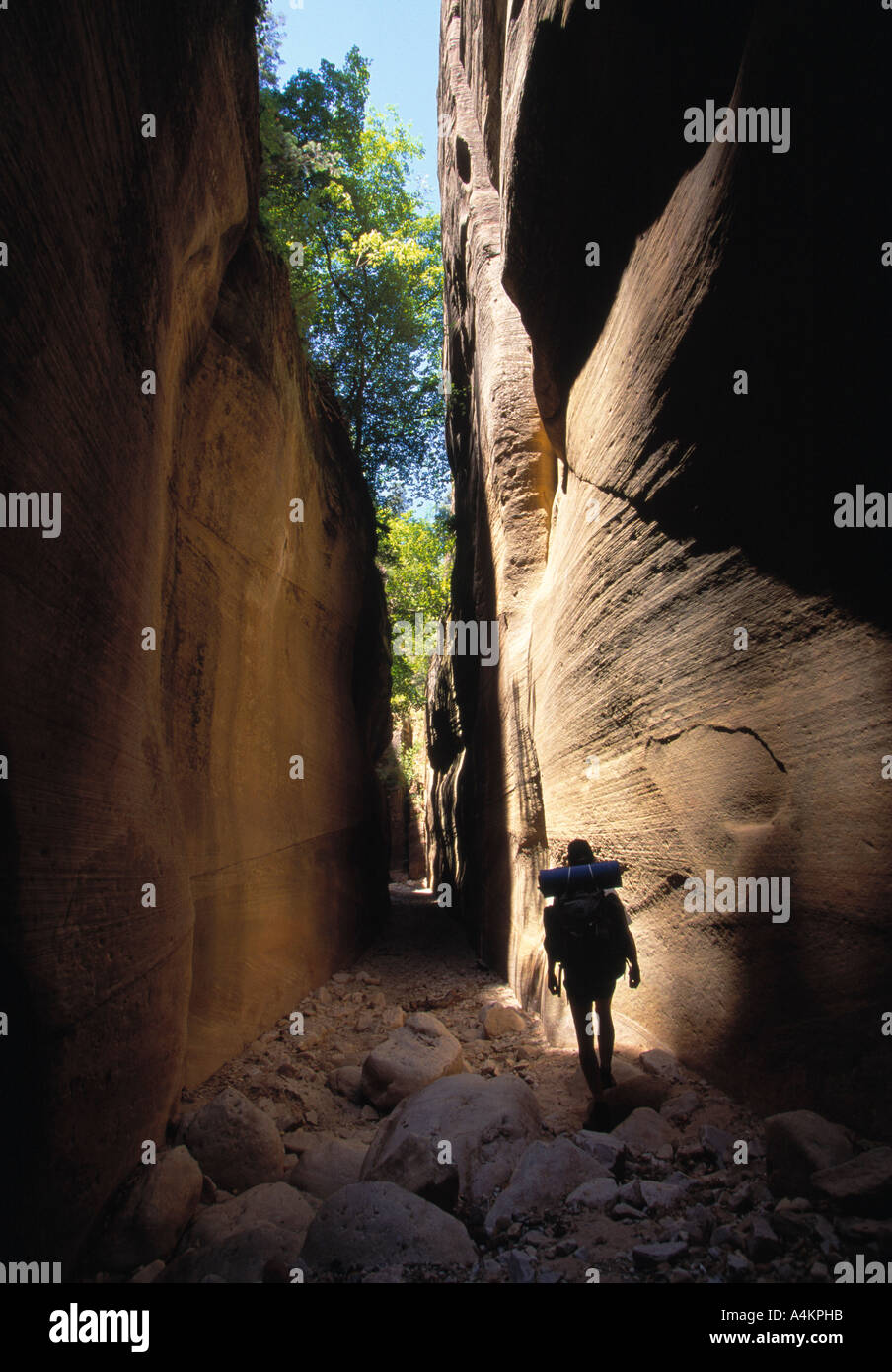 Orderville Canyon Zion National Park Utah USA Stock Photo - Alamy