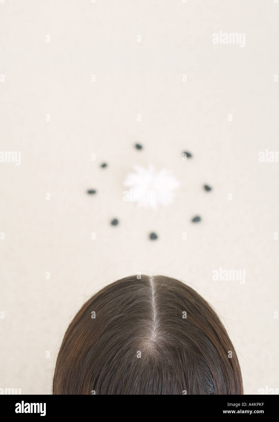 Round flower heads white background hi-res stock photography and images ...