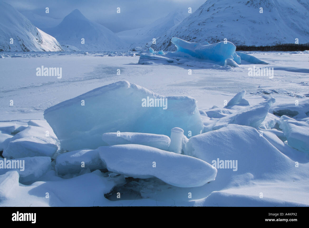 Icebergs in frozen lake, Alaska, USA Stock Photo - Alamy