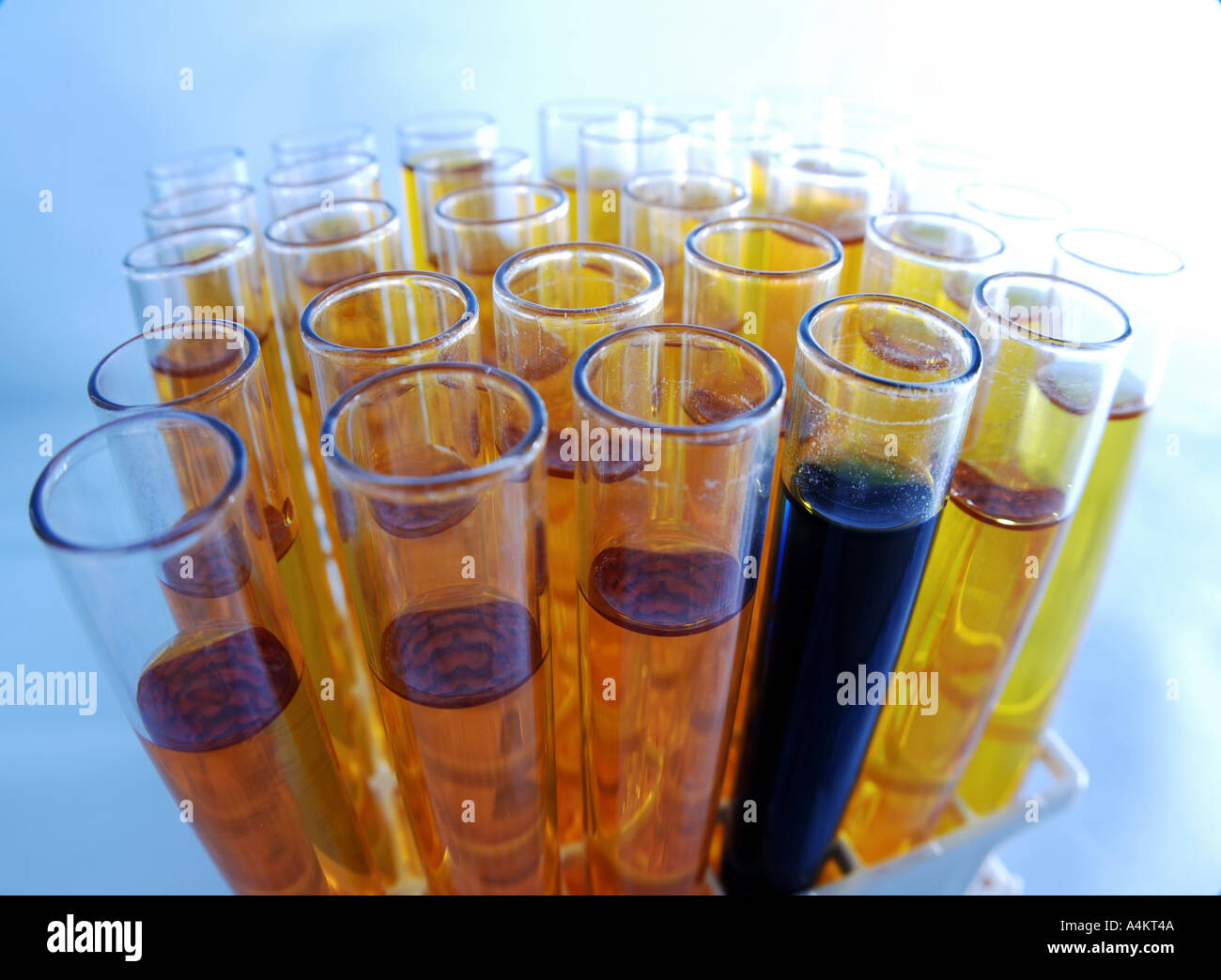 test tubes full of chemicals dna samples Stock Photo - Alamy