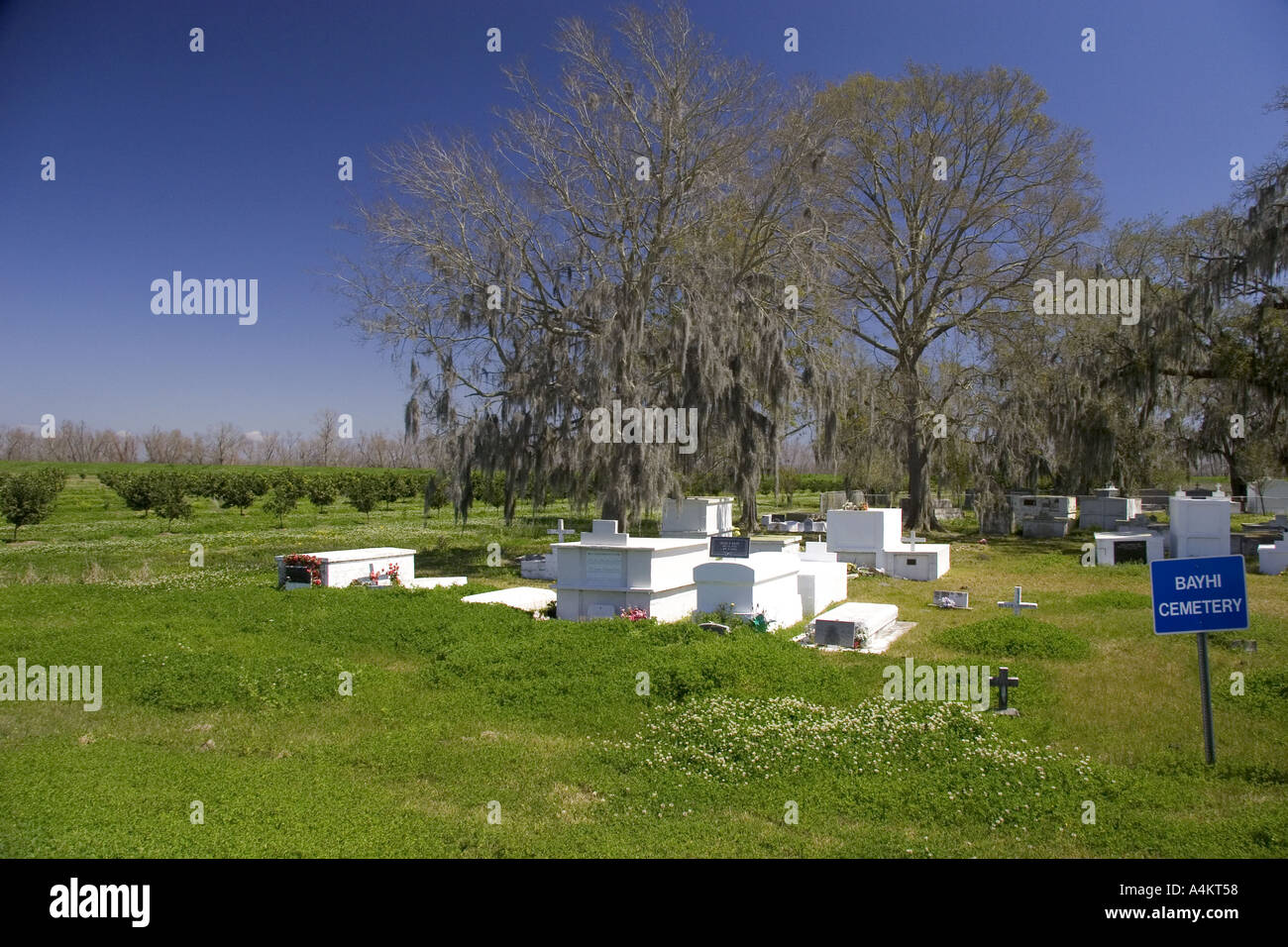 Bayhi Cemetery with above ground vaults near New Orleans Louisiana ...