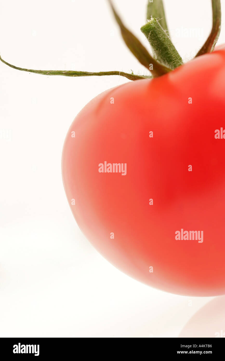 Single red tomato on a white background Stock Photo - Alamy