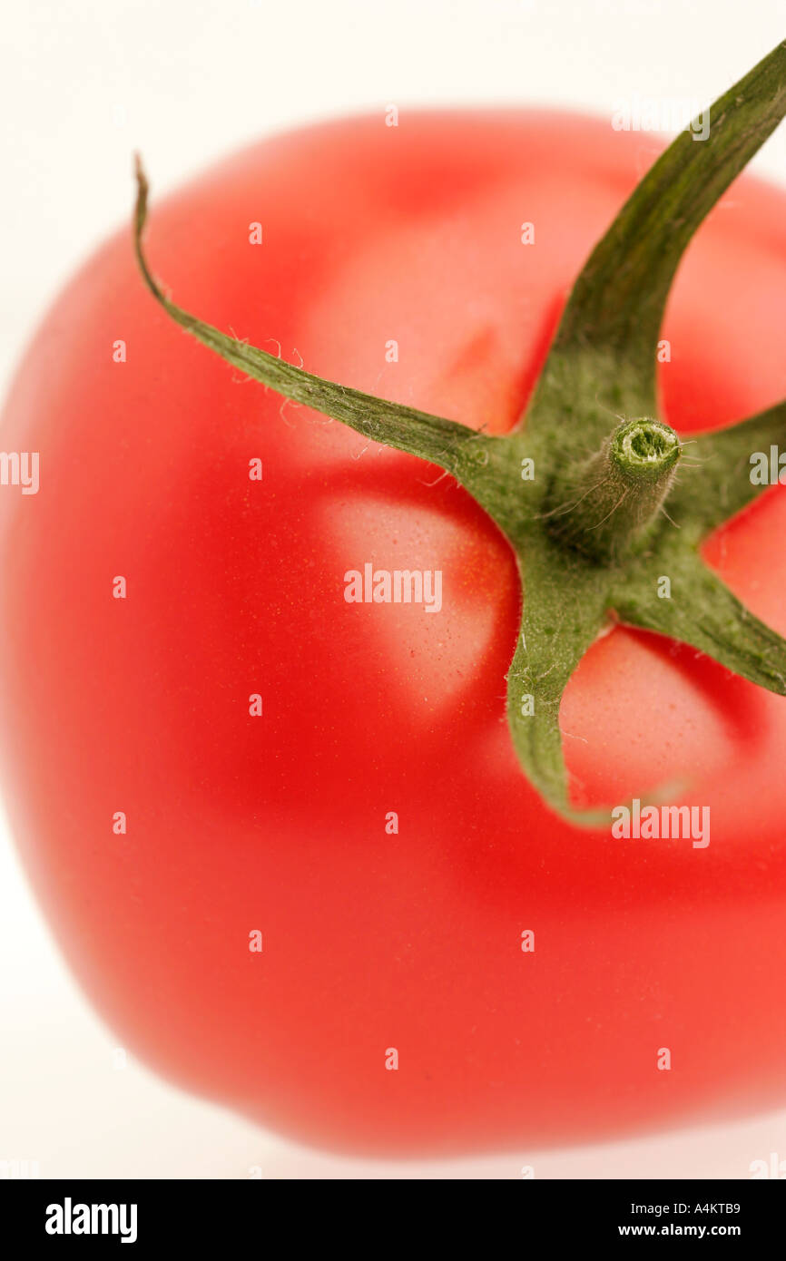 Single red tomato on white background Stock Photo - Alamy