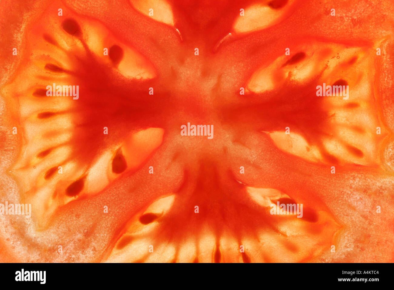 Tomato Pip High Resolution Stock Photography and Images - Alamy