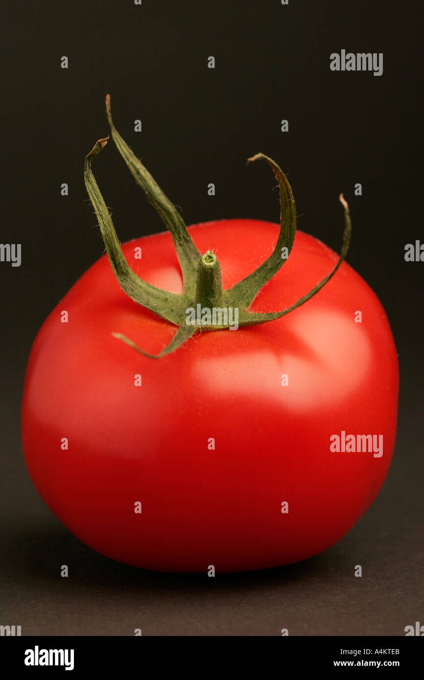 Tomatoe plant cutout hi-res stock photography and images - Alamy