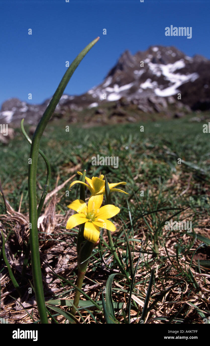 Ponga natural park asturias hi-res stock photography and images - Alamy