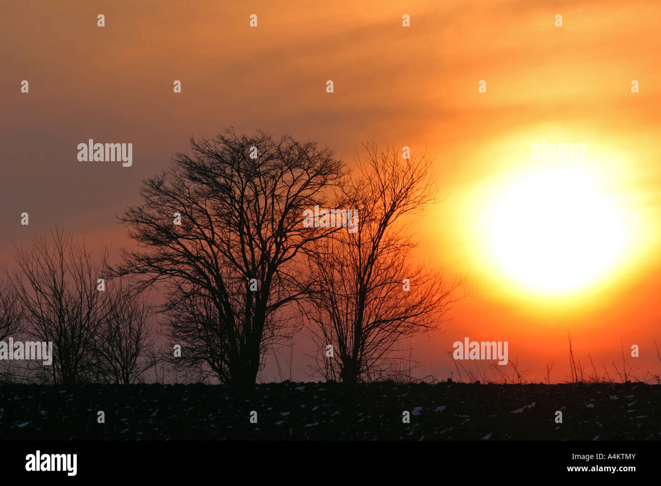 Dobrudja hi-res stock photography and images - Alamy