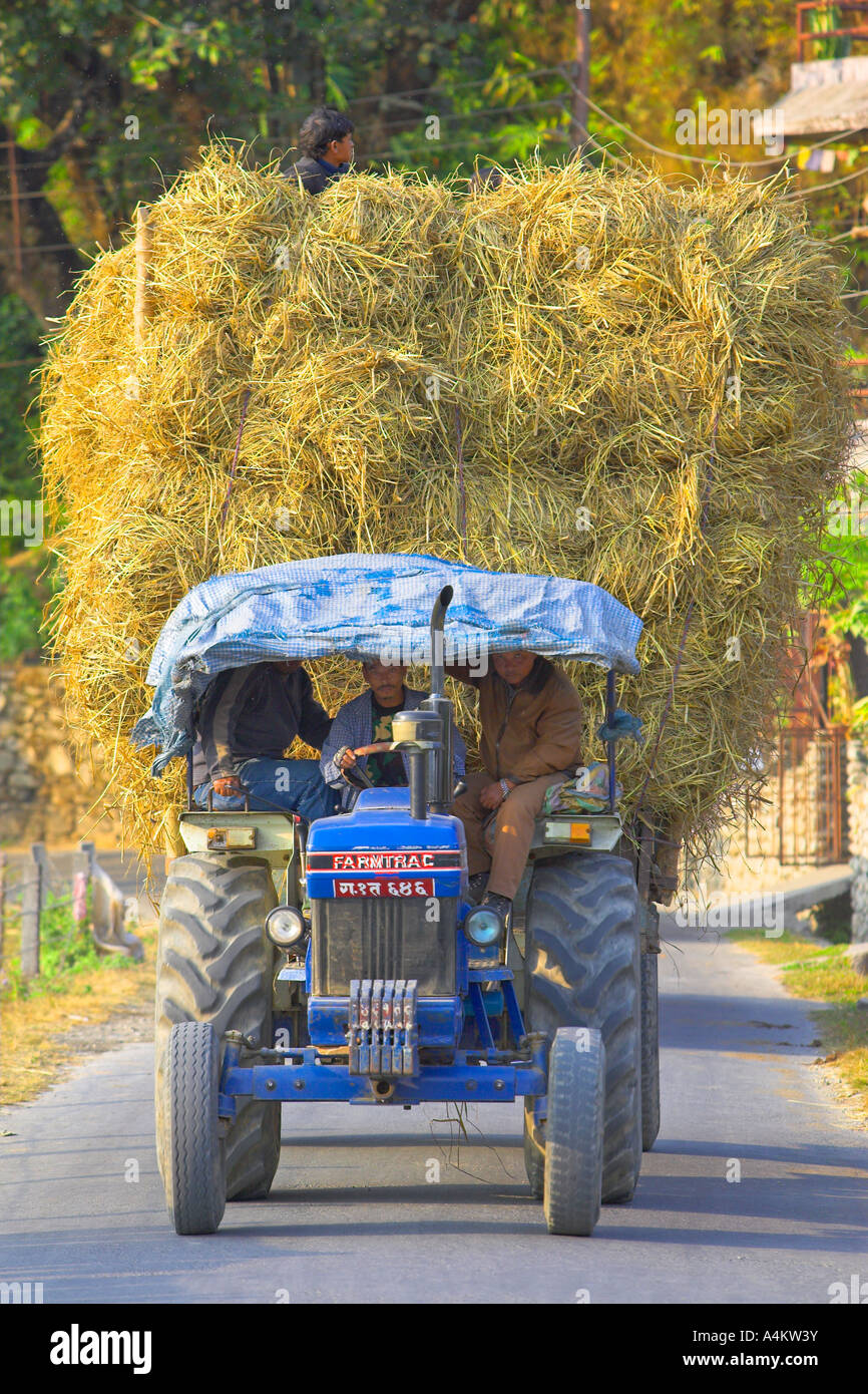 Farm workers carrying hay -Nepal Stock Photo - Alamy