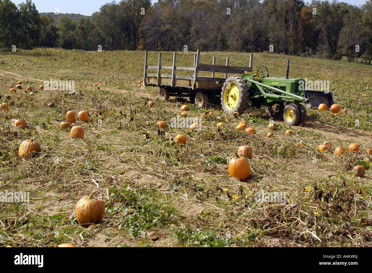 Hayride wagon hi-res stock photography and images - Alamy