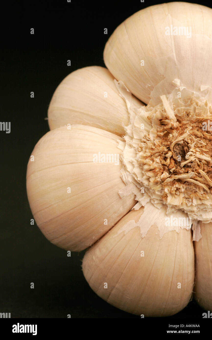 Single garlic clove on black background Stock Photo - Alamy