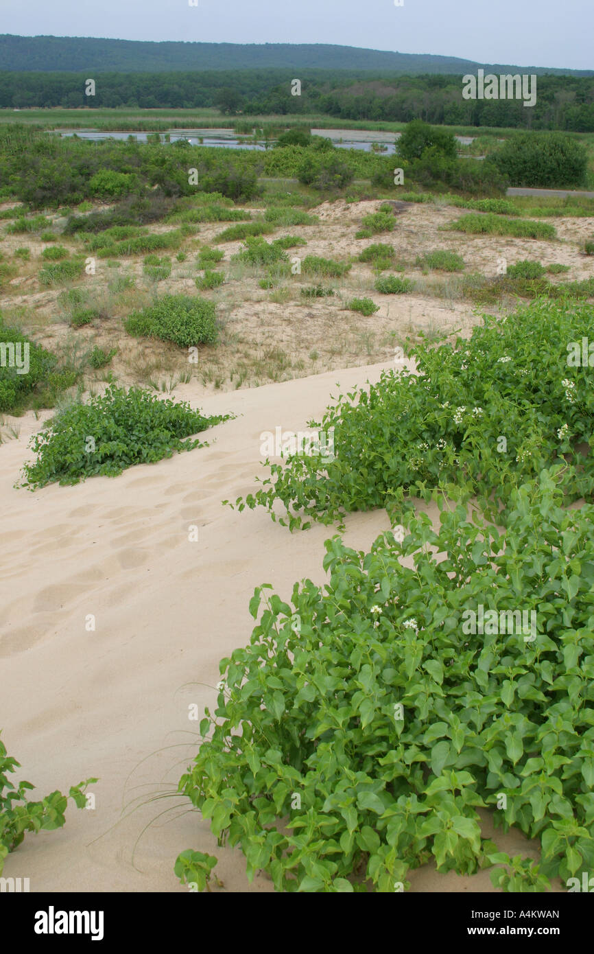 sand dune near Primorsko, Bulgaria Stock Photo - Alamy