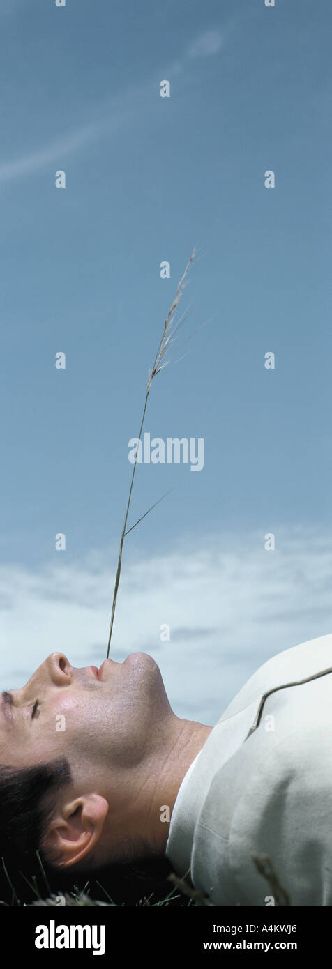 Man lying on back, partial view, in front of long piece of grass, sky ...