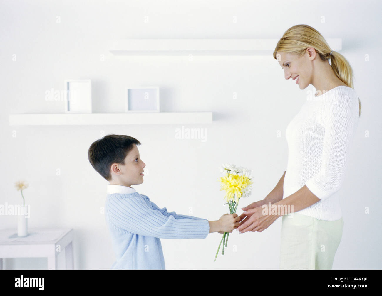 Northern inside out flower hi-res stock photography and images - Alamy