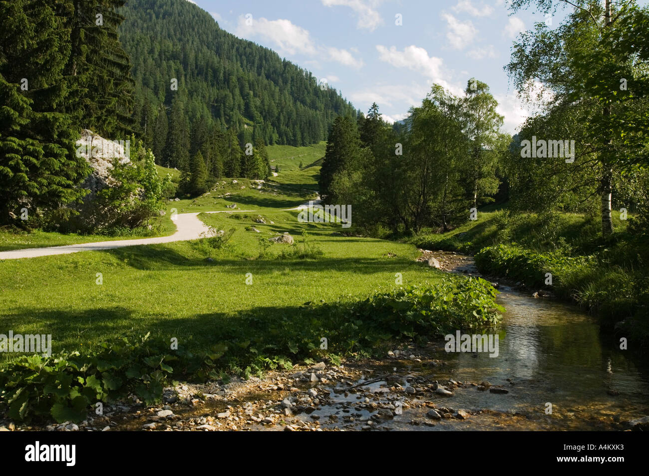 Alpine landscape with stream Stock Photo - Alamy