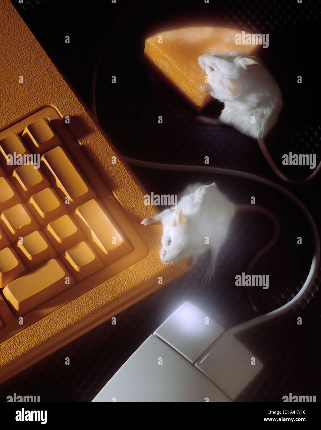 Three Blind Mice Calendar series numbers one twelve Images symbolic of ...