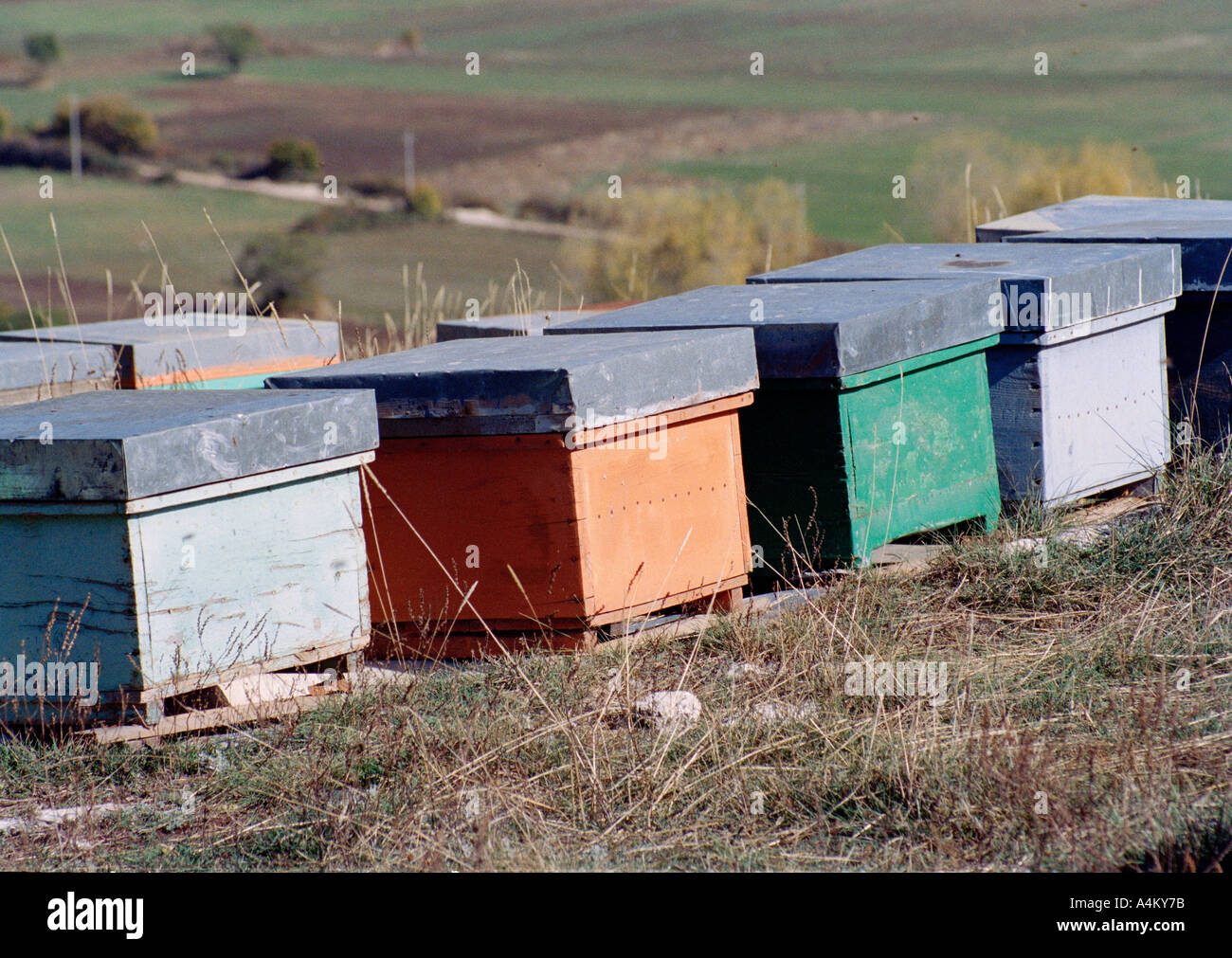 Bee hives Italy Stock Photo - Alamy