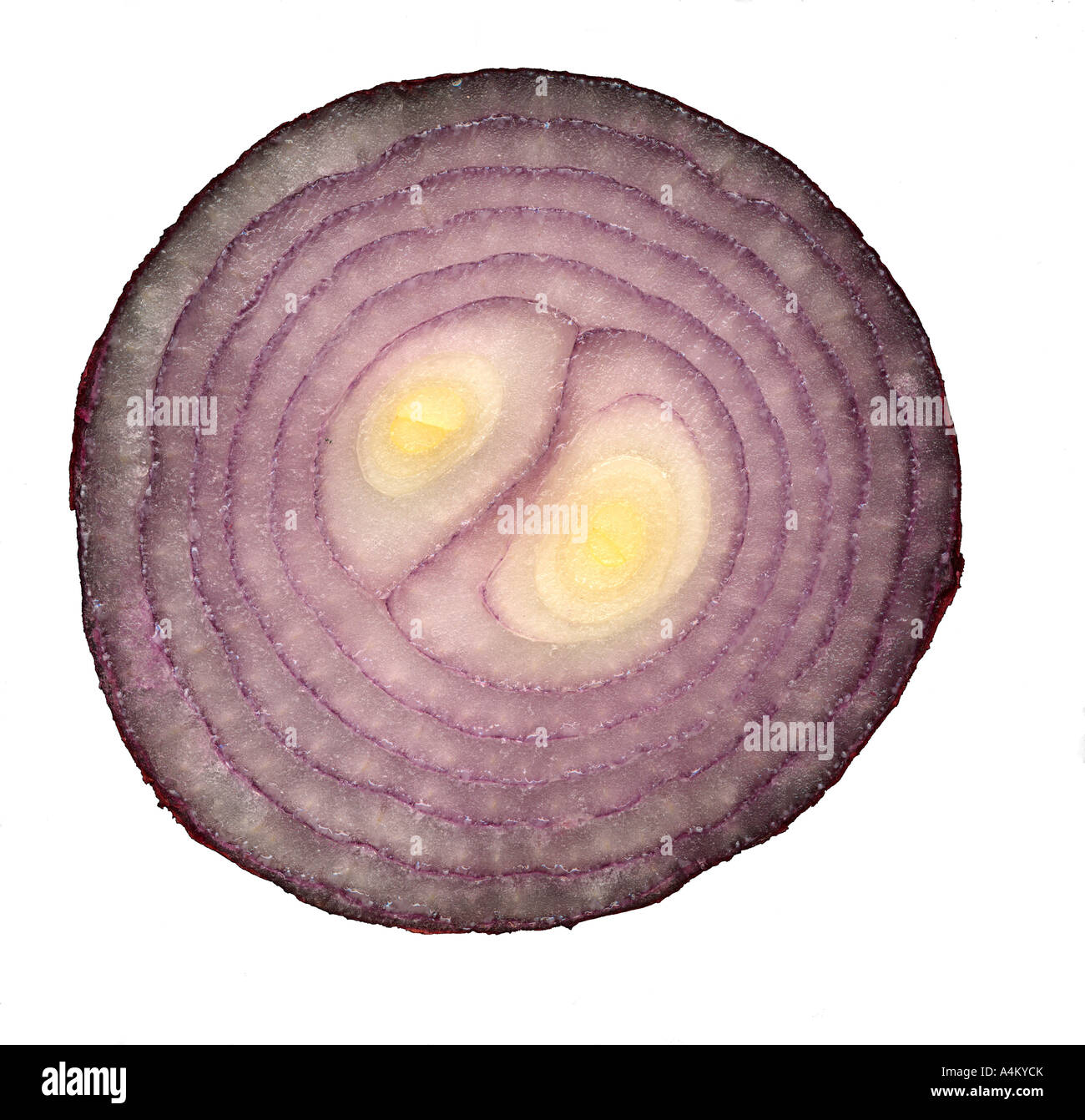 Onion hi-res stock photography and images - Alamy
