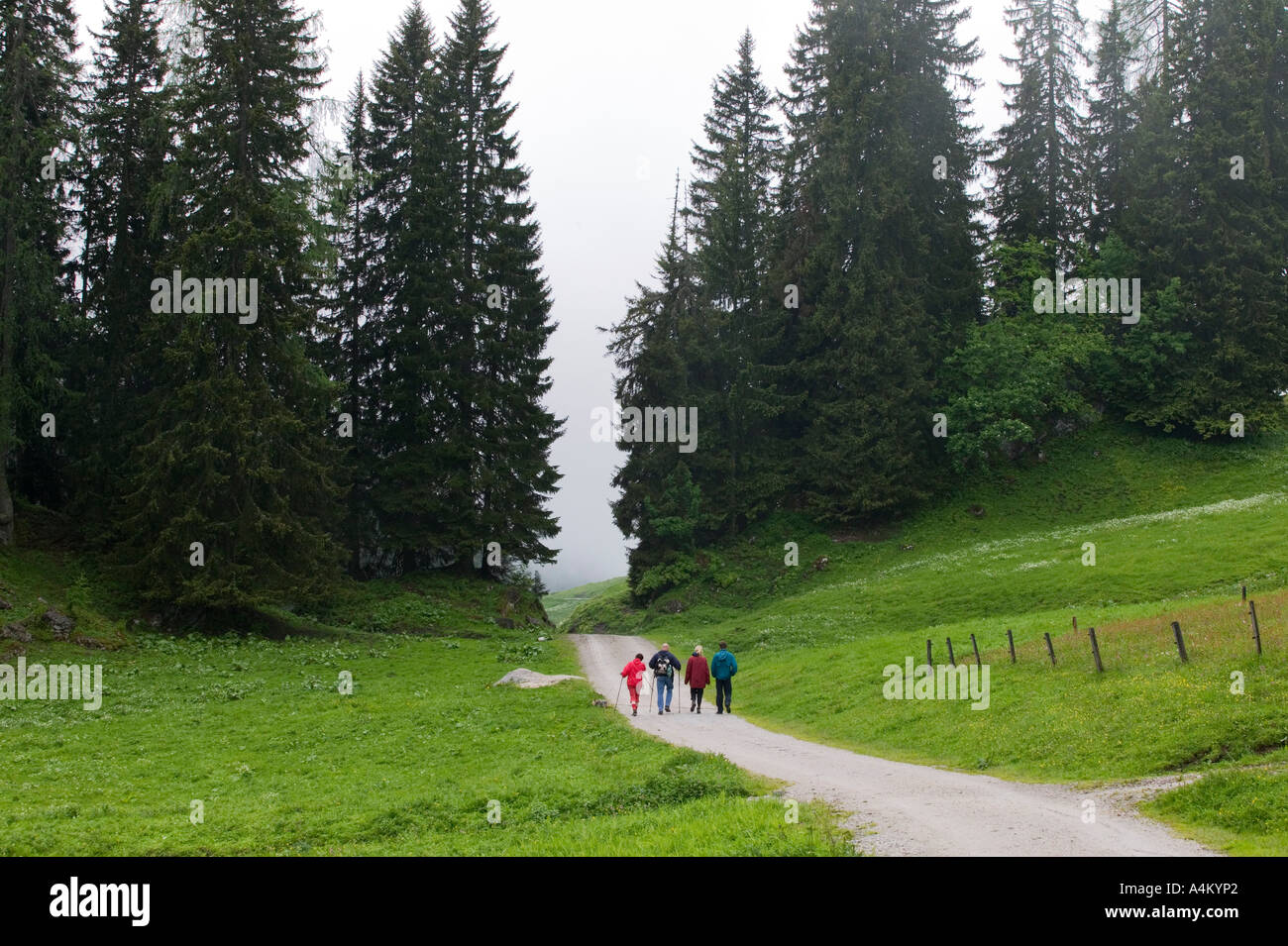 Hikers on path down hi-res stock photography and images - Alamy