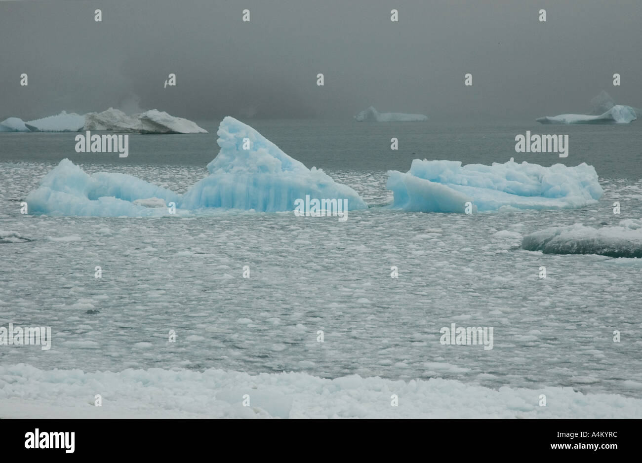 Icebergs and Brash Ice at Argentinian Orcadas Base at Orkney Antarctica ...