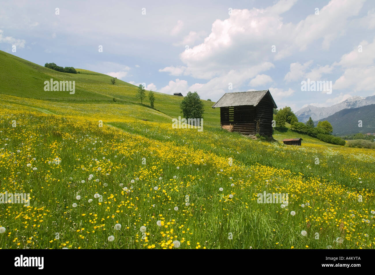 Saalfelden austria hi-res stock photography and images - Alamy