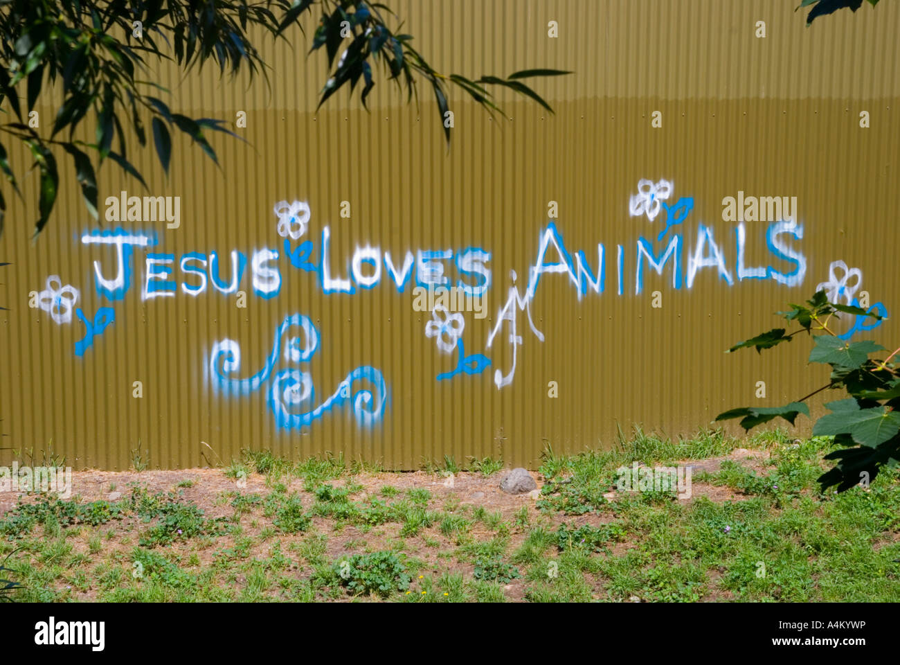 Animal rights graffiti hi-res stock photography and images - Alamy