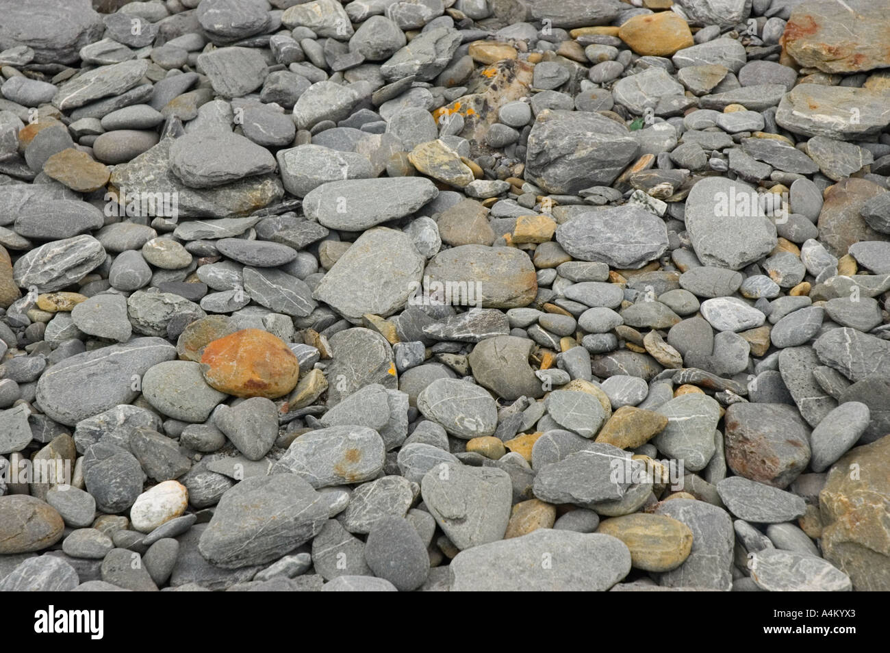 Pebbles at Argentinian Orcadas Base at Orkney Antarctica Stock Photo ...