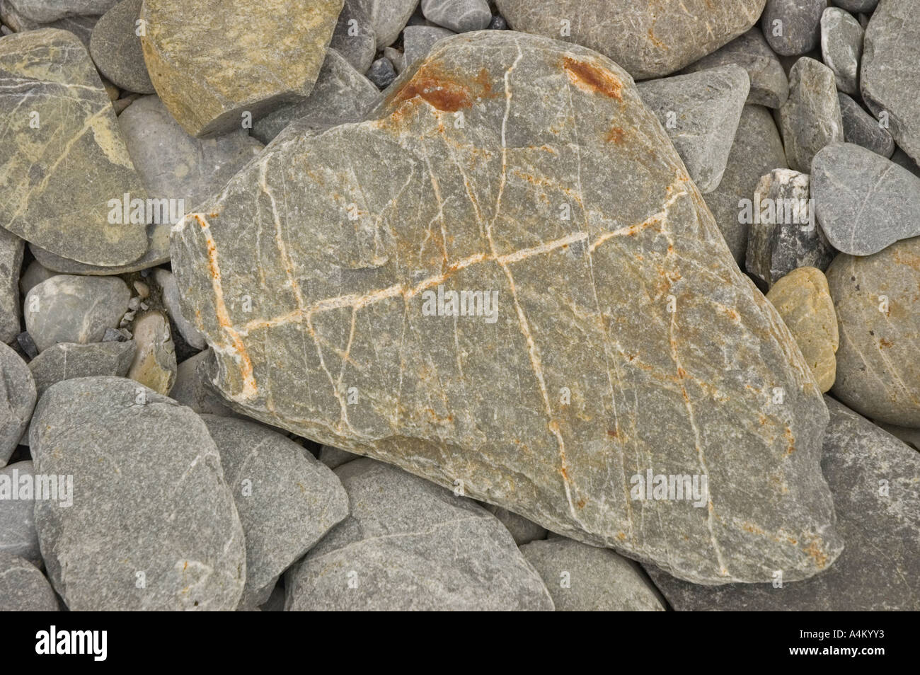 Pebbles at Argentinian Orcadas Base at Orkney Antarctica Stock Photo ...