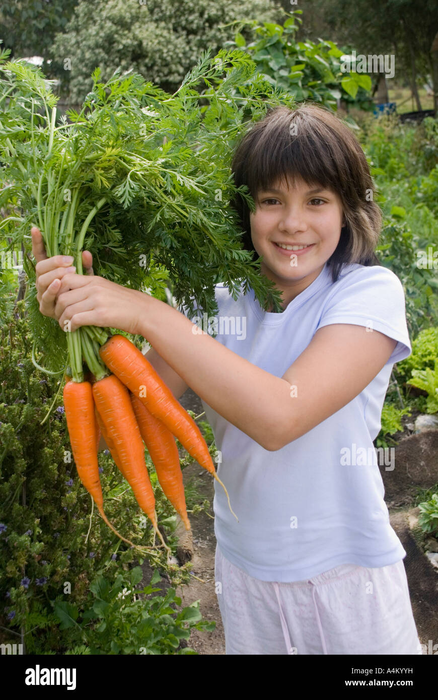 Pretty young girl with freshly harvested crop of Top Weight variety ...