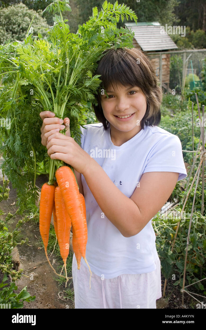 Pretty young girl with freshly harvested crop of Top Weight variety ...