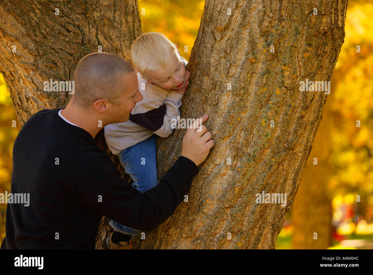 Father and son bonding Stock Photo - Alamy