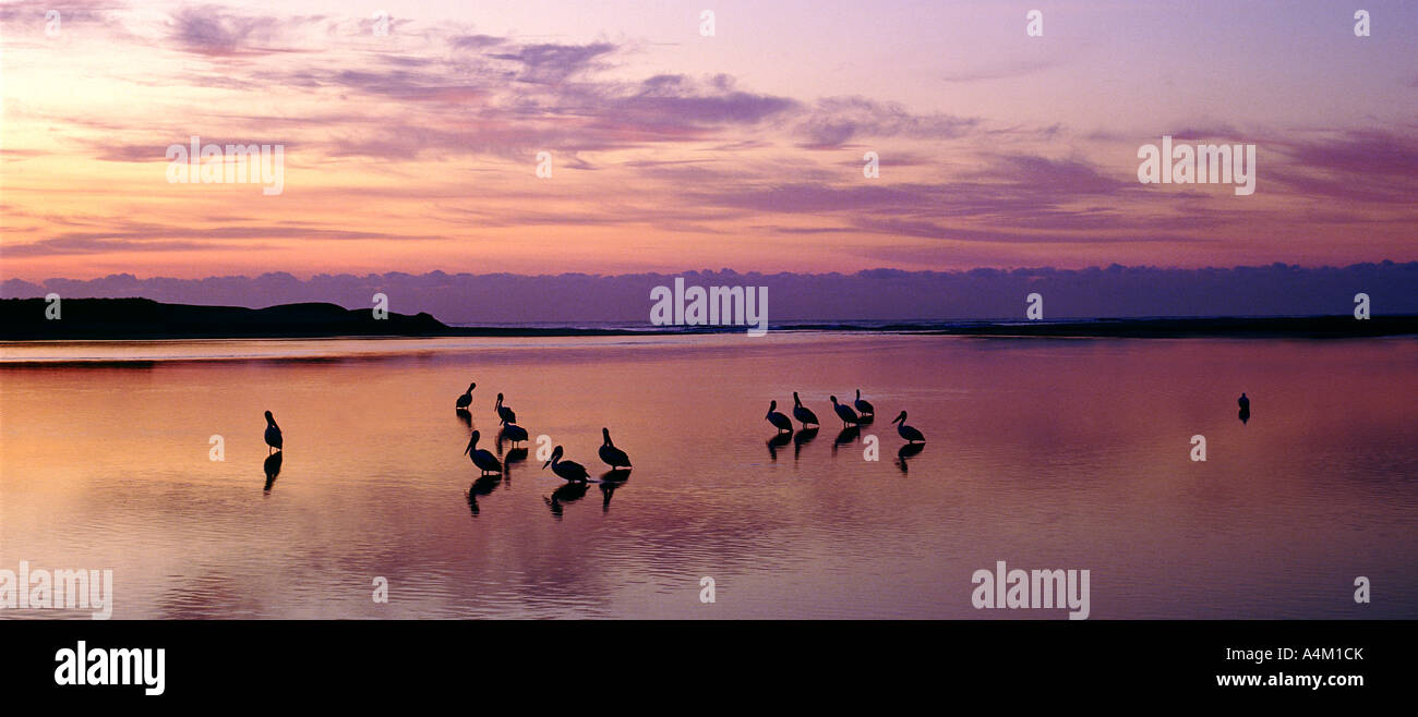 Entrance channel nsw australia hi-res stock photography and images - Alamy
