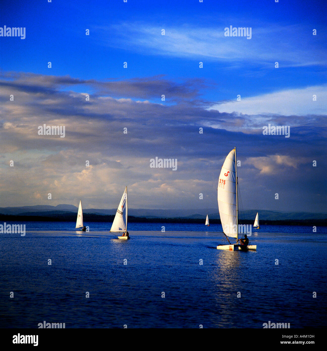 Sailing Hobby Catamaran on a lake Stock Photo - Alamy