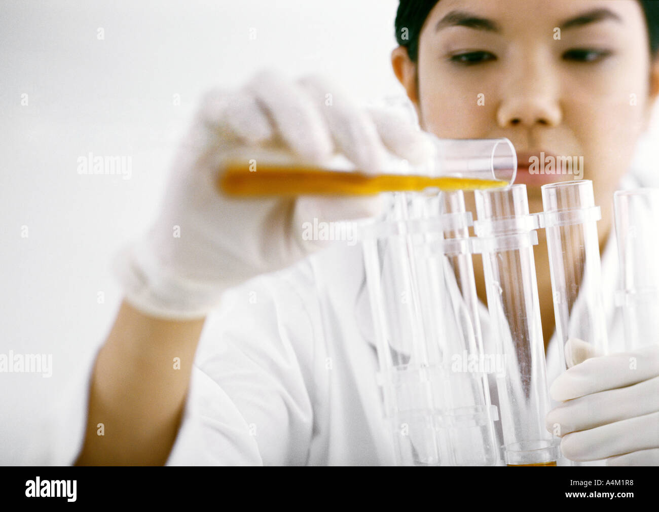Woman transferring contents of test tube Stock Photo - Alamy