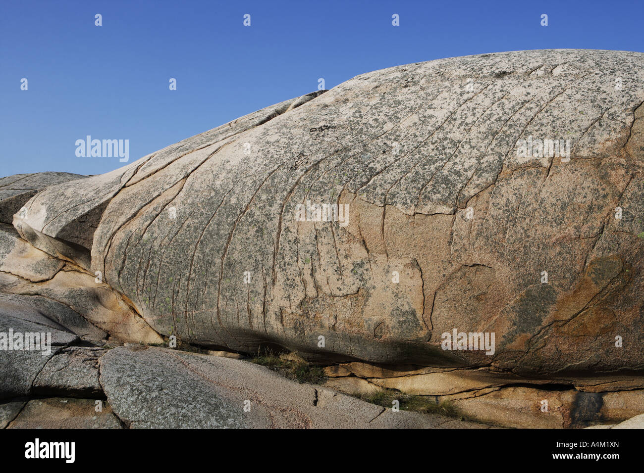 Granite rocks in nature reserve at the island Hallo in Bohuslan, Sweden ...