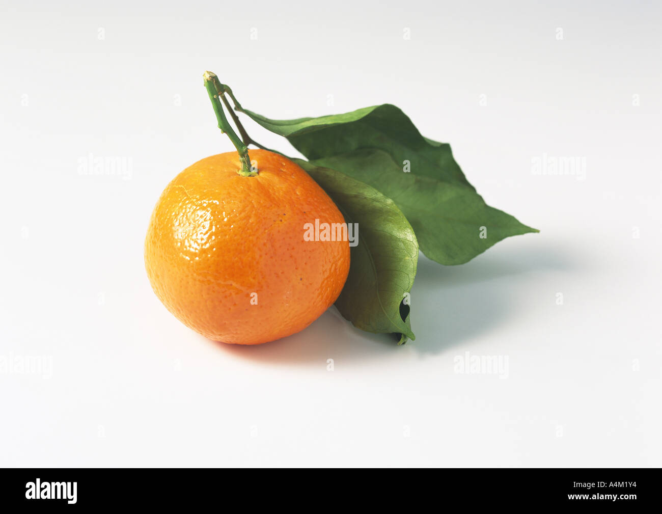 Clementine images hi-res stock photography and images - Alamy