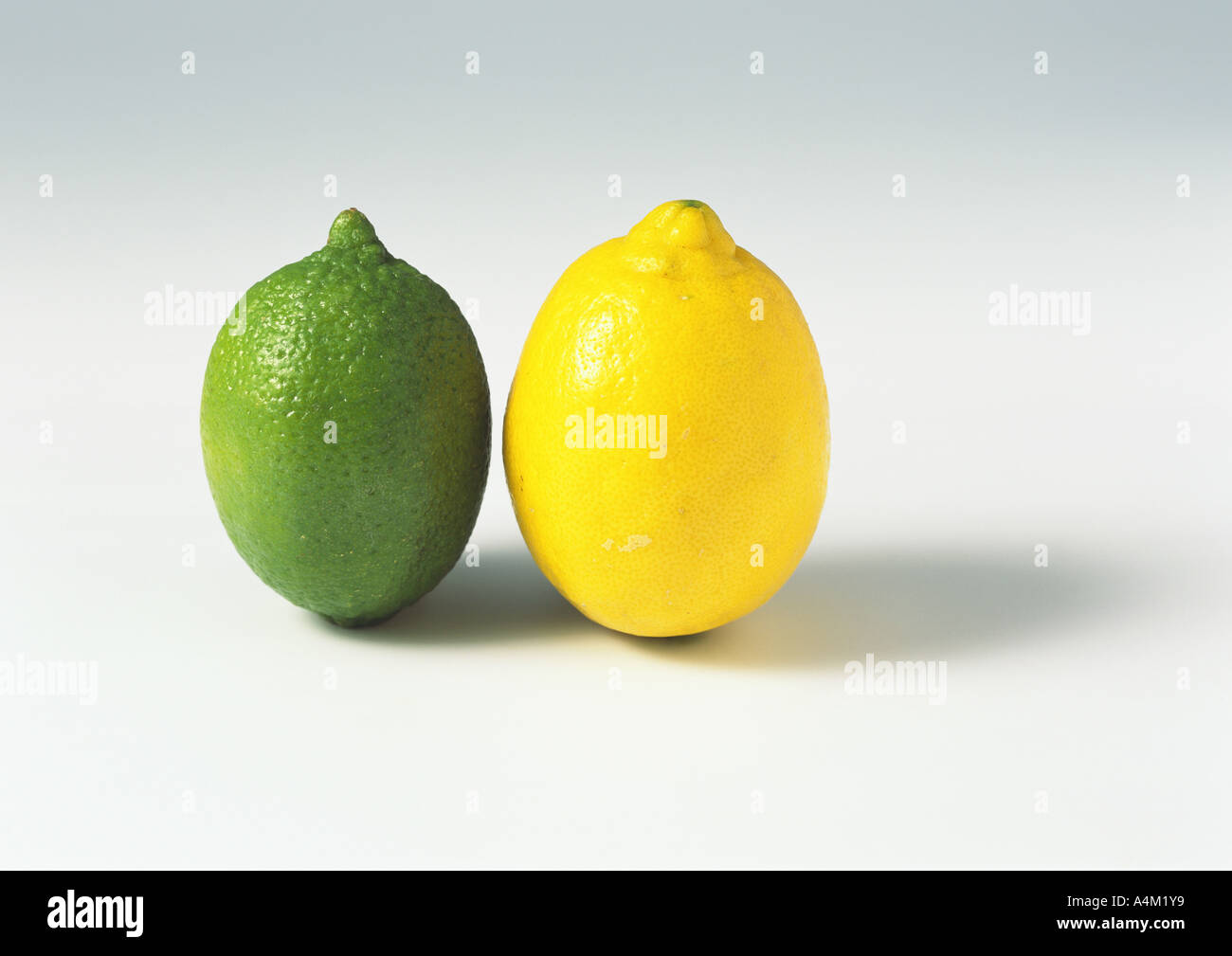 Lime and lemon Stock Photo - Alamy
