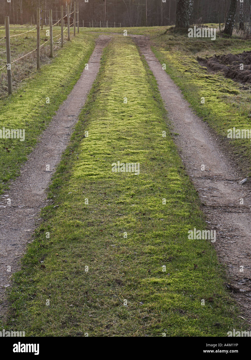 Wheel rut hi-res stock photography and images - Alamy