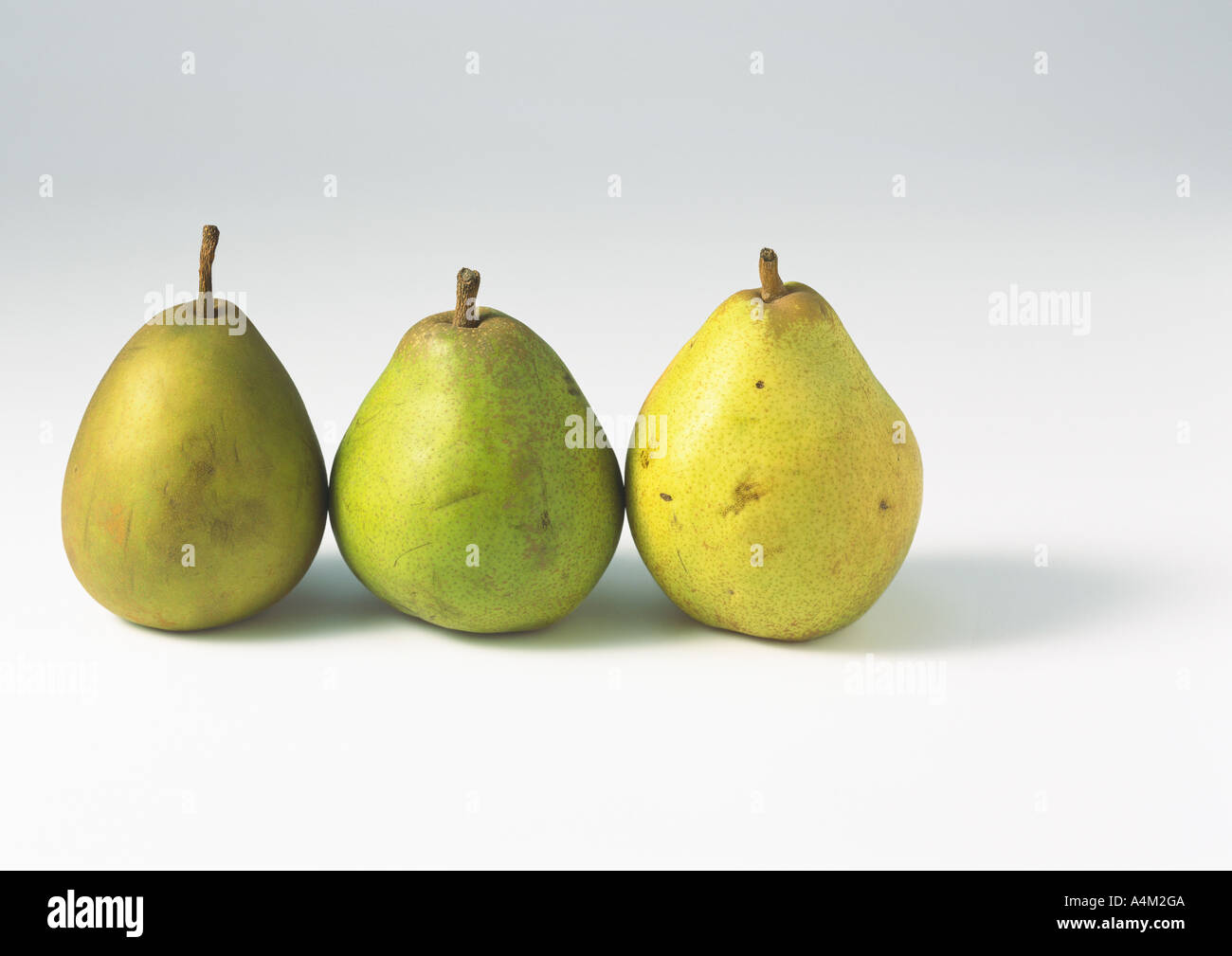 Varied green shades hi-res stock photography and images - Alamy