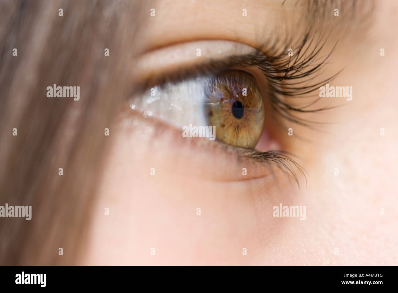 Close Up of Open Eye of Teenage Girl Stock Photo - Alamy