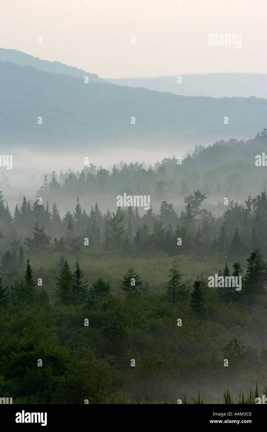 Foggy mountain morning Canaan Valley West Virginia Stock Photo - Alamy