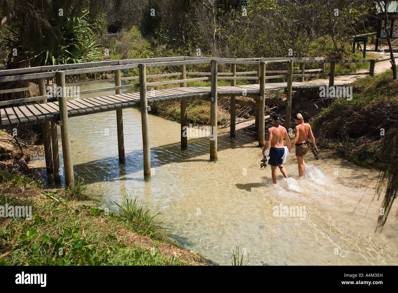 Eli Creek - Fraser Island, Queensland AUSTRALIA Stock Photo - Alamy