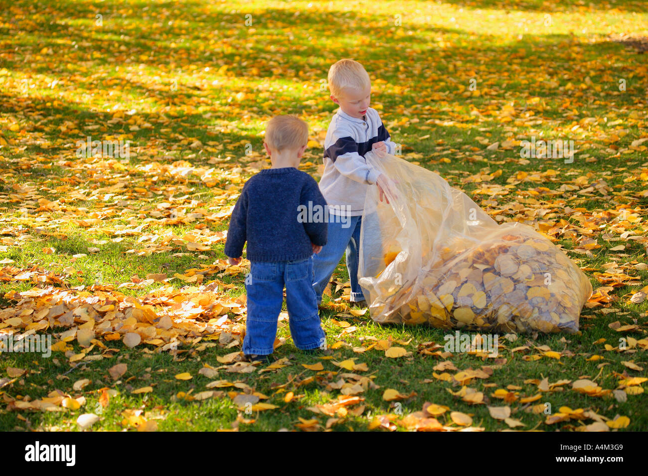 Children doing fall cleanup Stock Photo - Alamy
