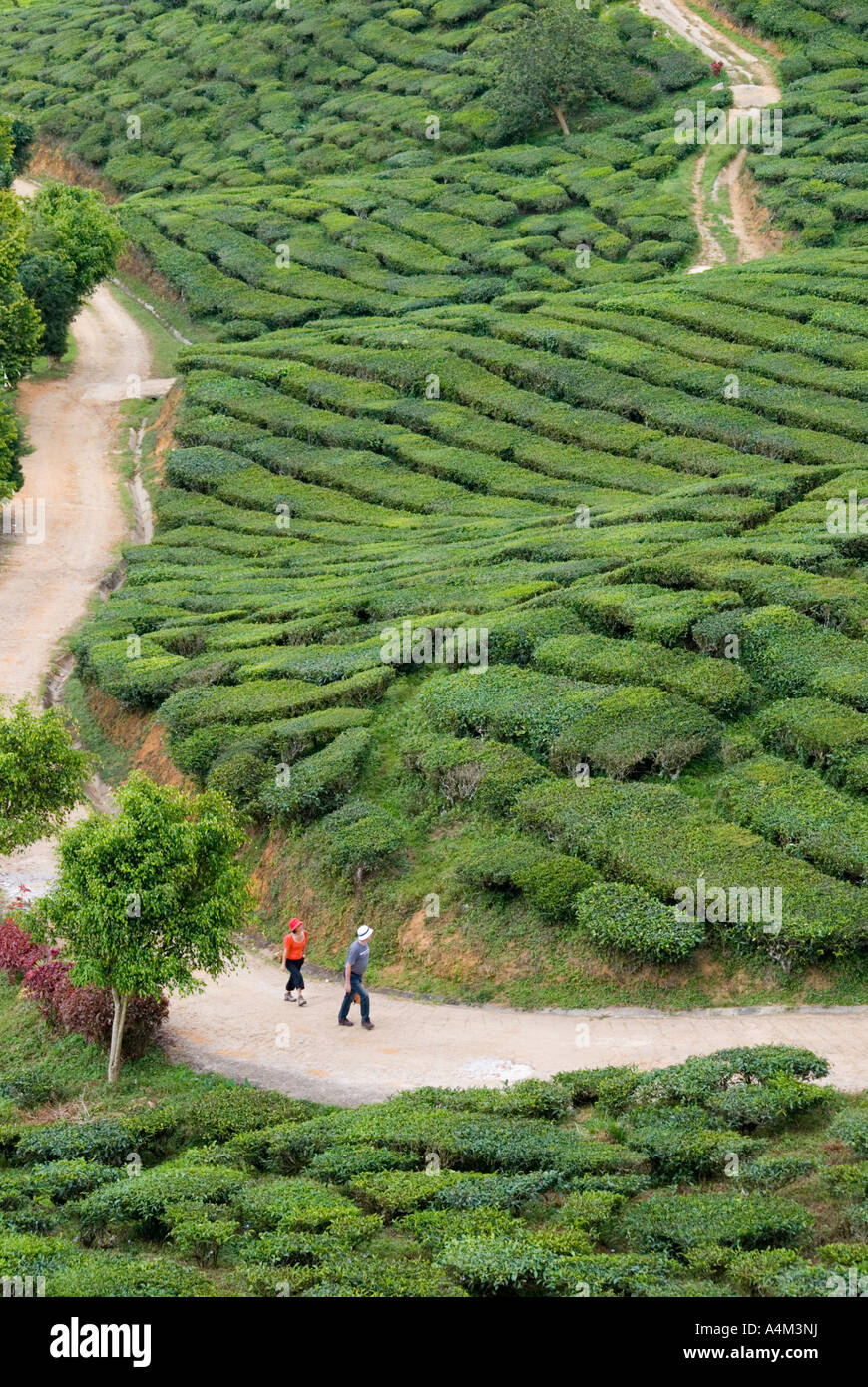 Cameron climate hi-res stock photography and images - Alamy