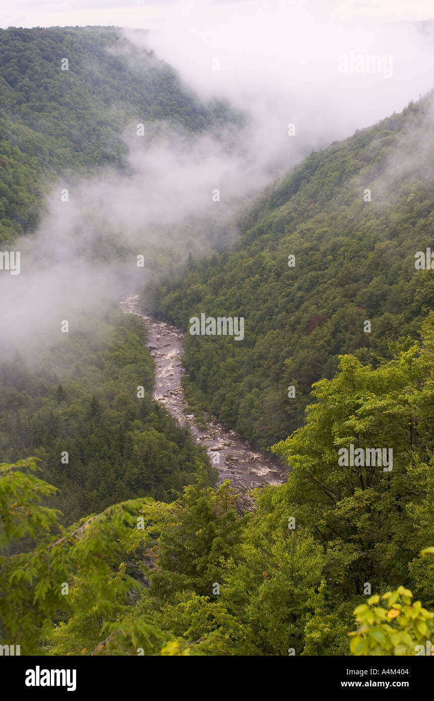 Blackwater river valley hi-res stock photography and images - Alamy