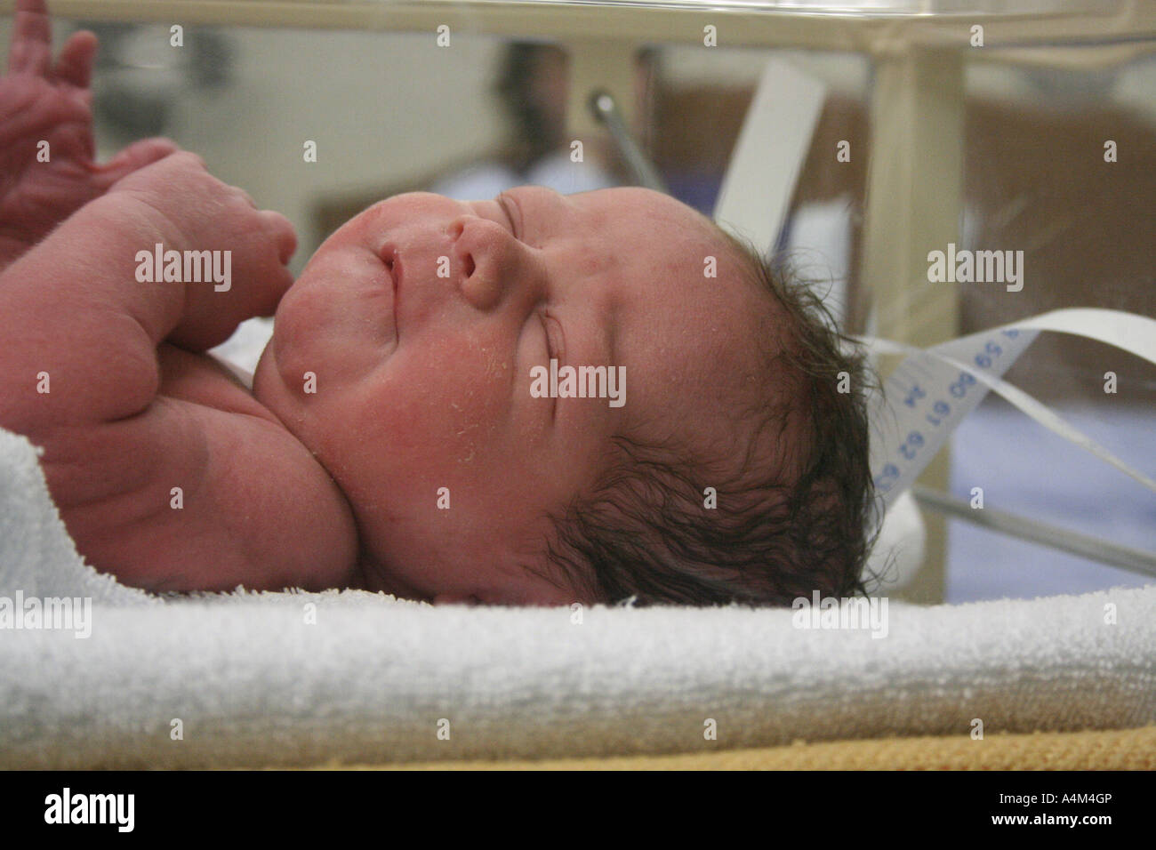 New born baby hospital cot hi-res stock photography and images - Alamy